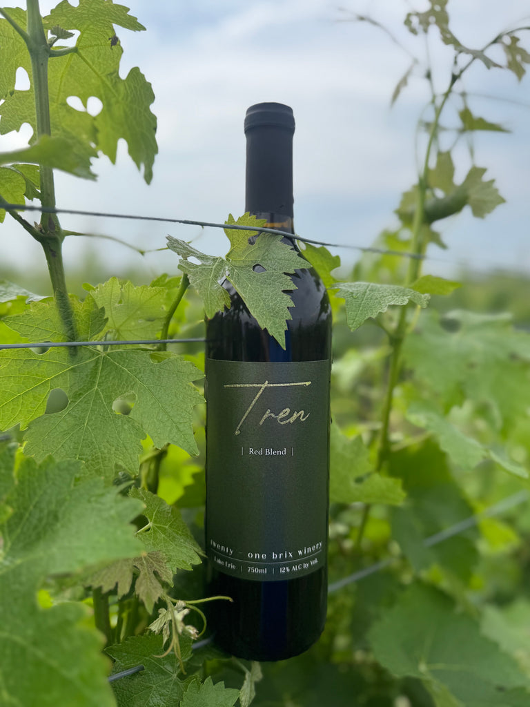 Tren (Red Blend) – 21 Brix